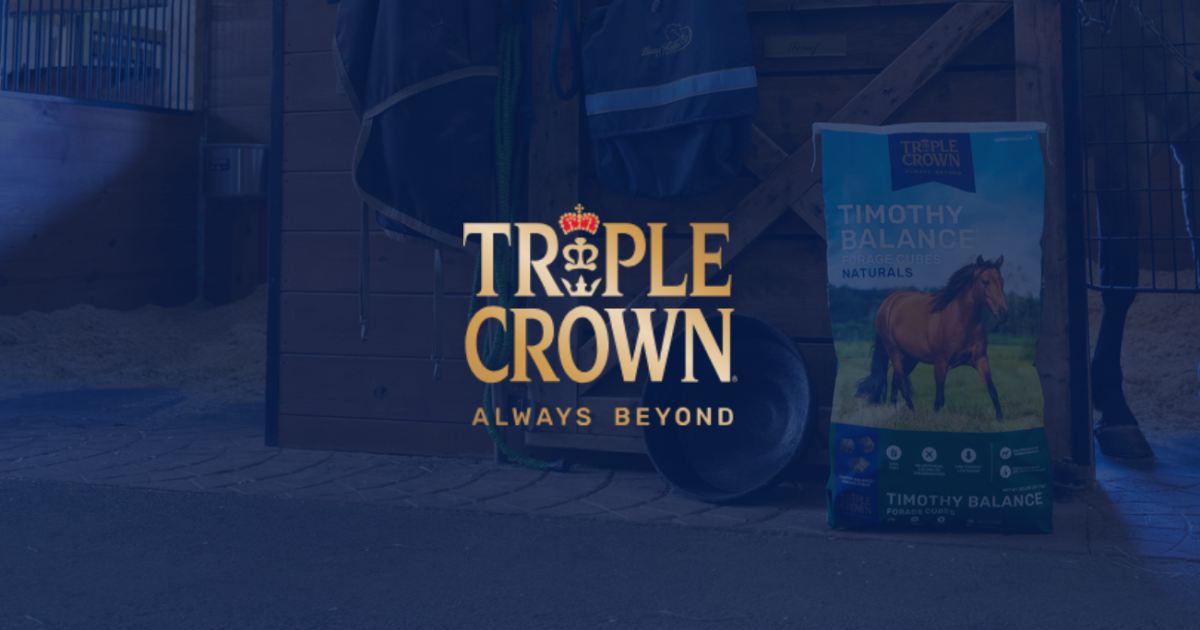 Triple Crown Feed | August Ash